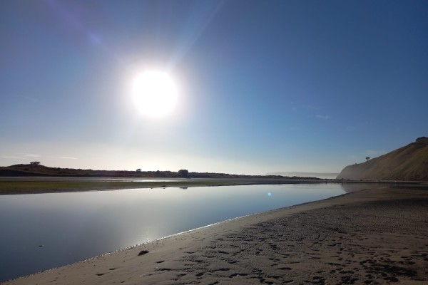 News & Events | Rongomaiwahine Iwi Trust | Mahia | New Zealand