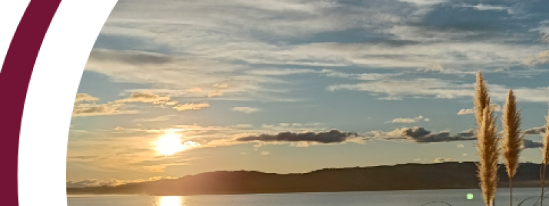 Rongomaiwahine Iwi Trust Expo | Rongomaiwahine Iwi Trust