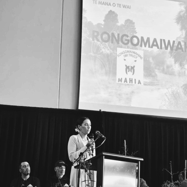 Our Team | Rongomaiwahine Iwi Trust | Mahia | New Zealand